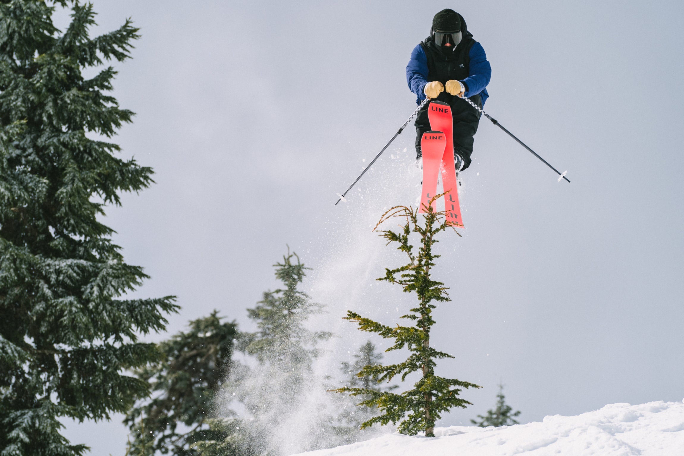 Potter Brothers Demo Centers – POTTER BROTHERS