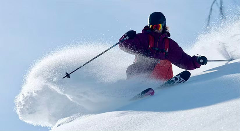 Welcome to Potter Brothers Dot Com! – POTTER BROTHERS